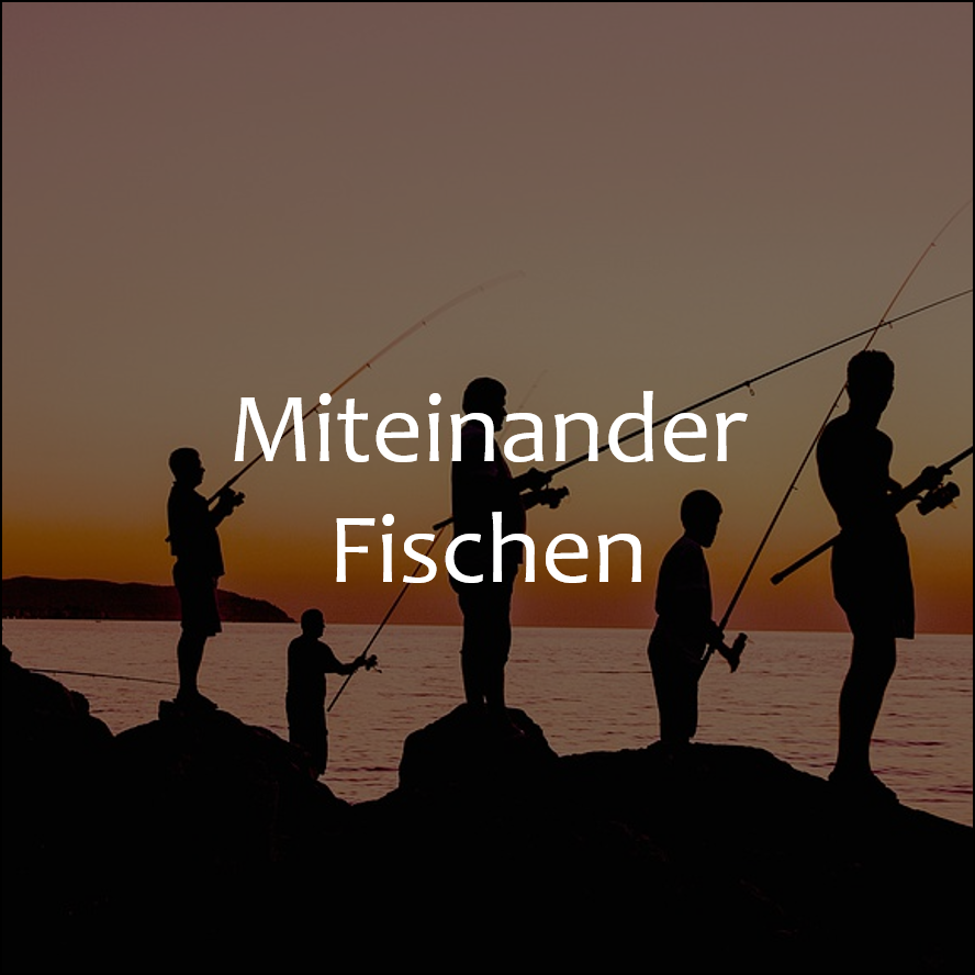 groupify verbindet Menschen mit den gleichen Interessen