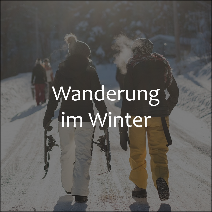 groupify verbindet Menschen mit den gleichen Interessen