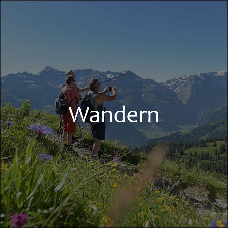 groupify verbindet Menschen mit den gleichen Interessen